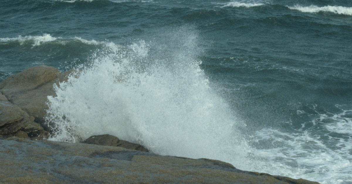 À propos des mers et des océans, le saviez-vous ? - Conserves de Poissons